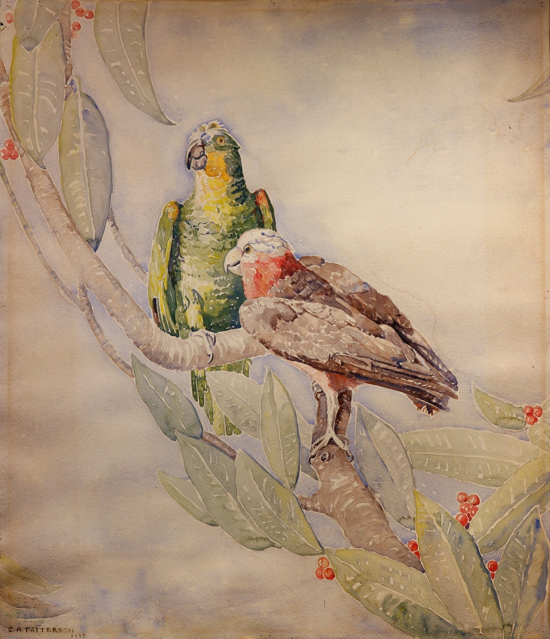 High in the Tree tops by Claude A. Patterson – Genesee Valley Council ...